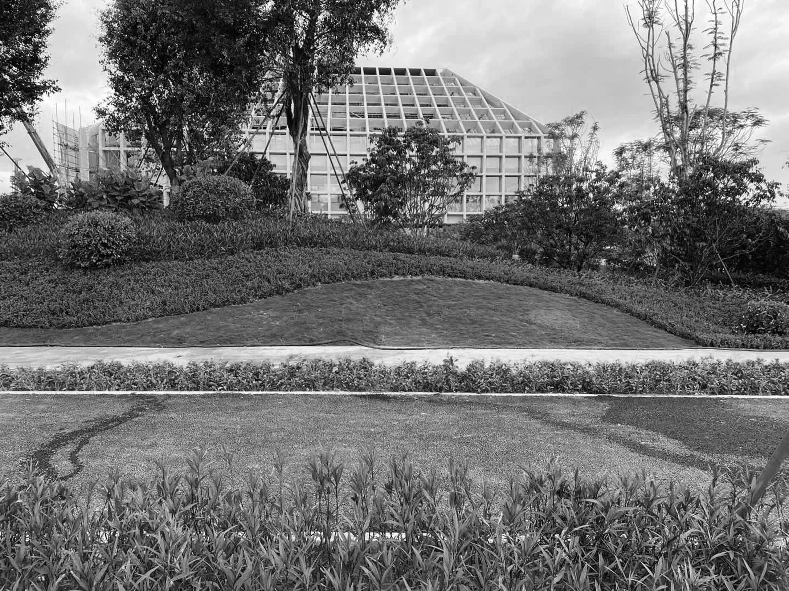 Sanya Jinmao Farm Lab - CLOU architects